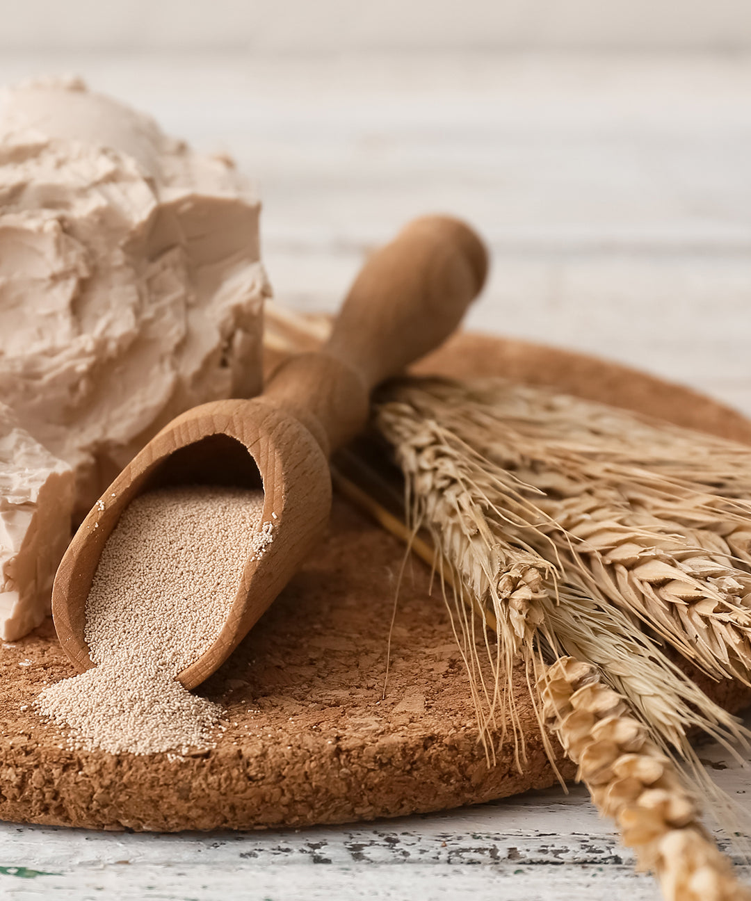 Collections – texasbakerysupply